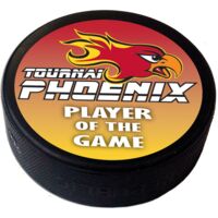 Custom Hockey Puck and Decal Pro-Tuff Decals