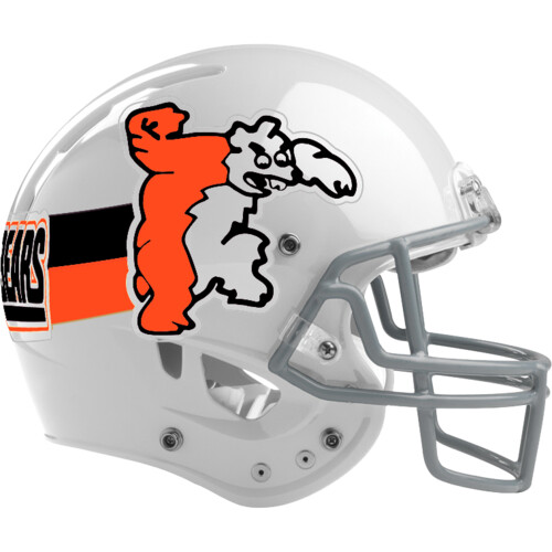 Football Helmet Decals Pro-Tuff Decals